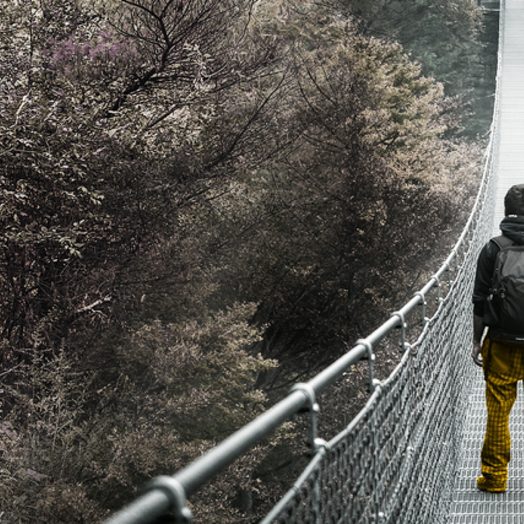 Transporeon platform for carriers: Enhance your logistics operations ...