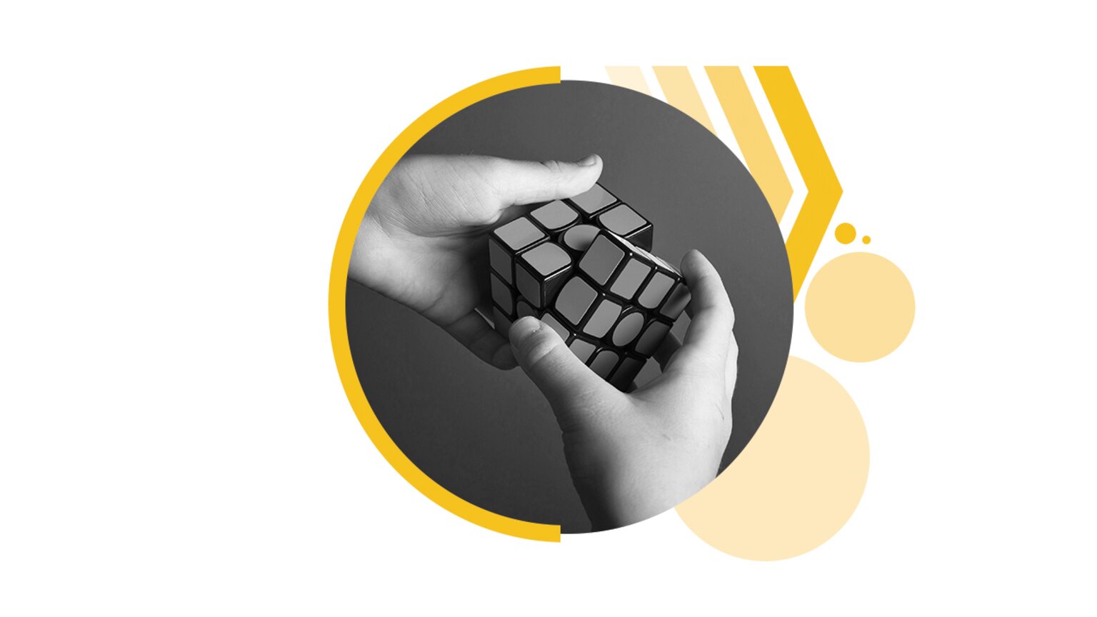 Argus Logistics: the value and efficiencies gained through a successful ...